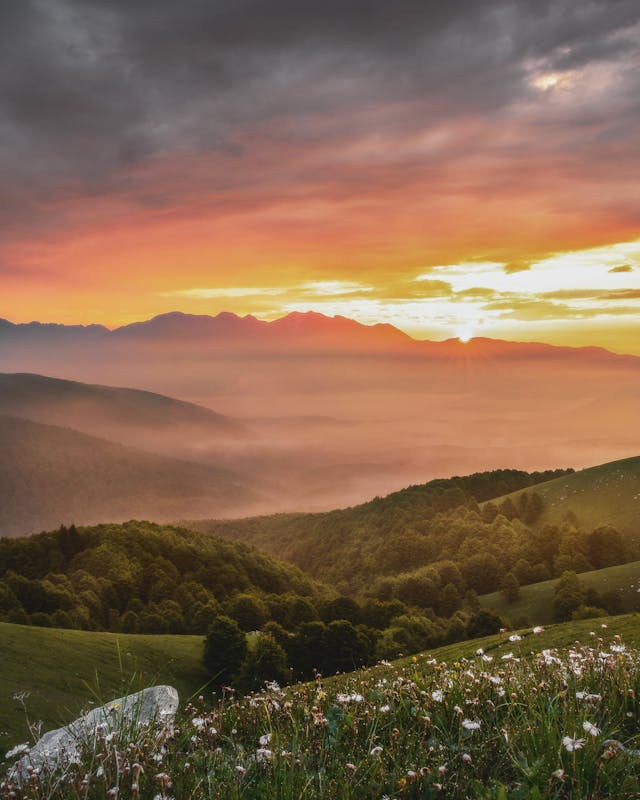 Totality of life – Spirit of Tara